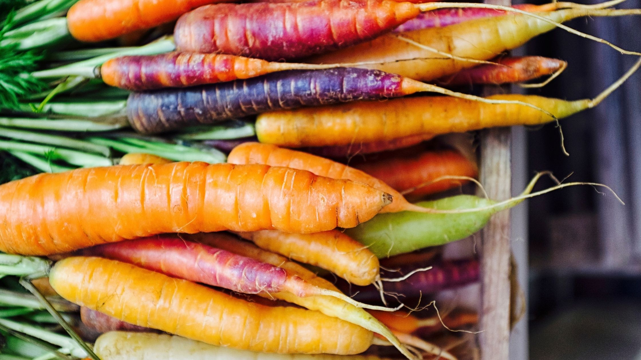 Different Types of Carrots