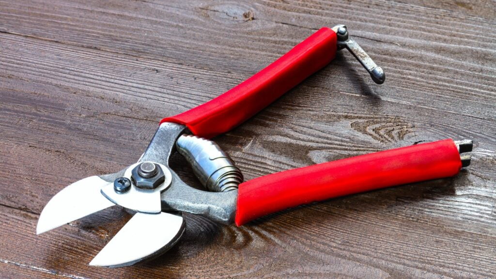Types Of Pruning Shears
