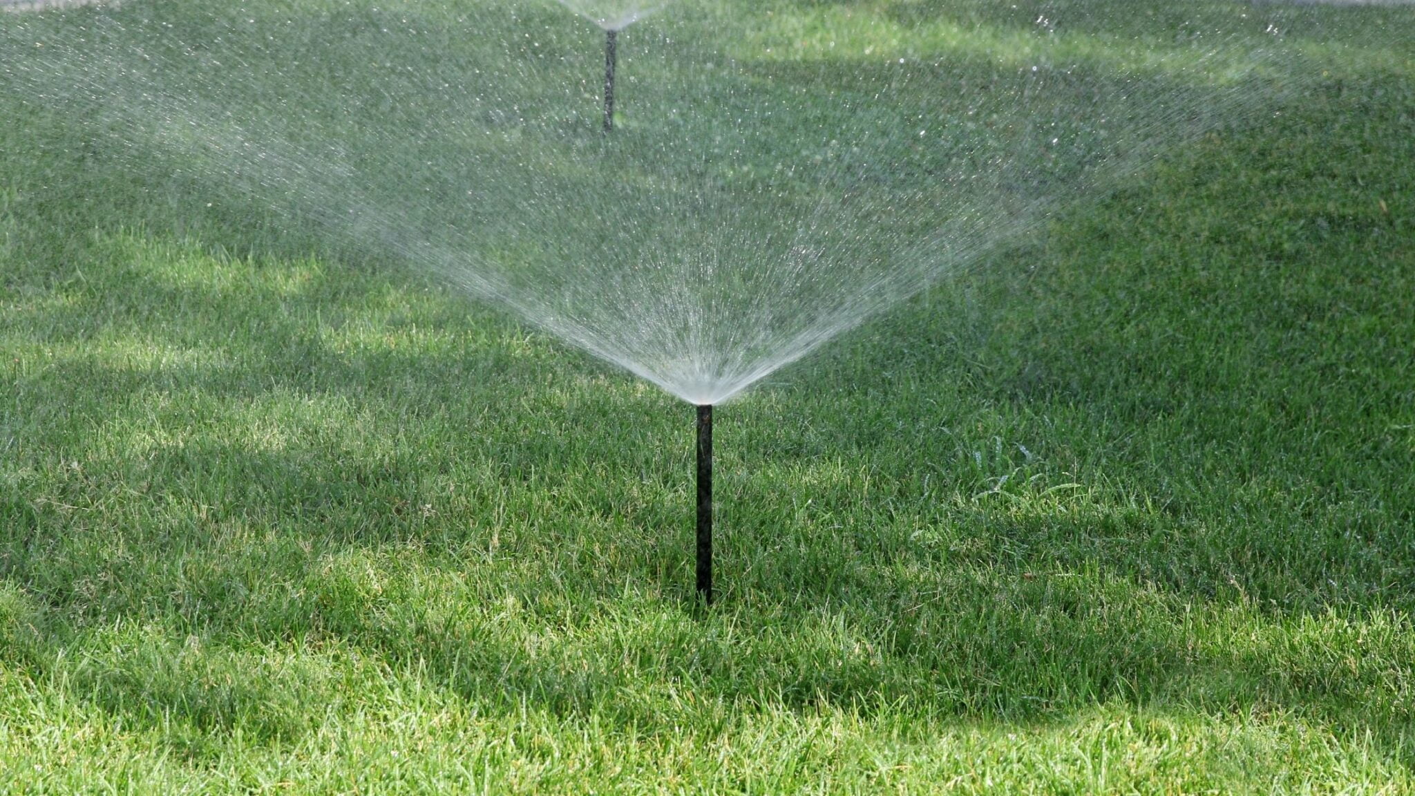 Types Of Sprinklers