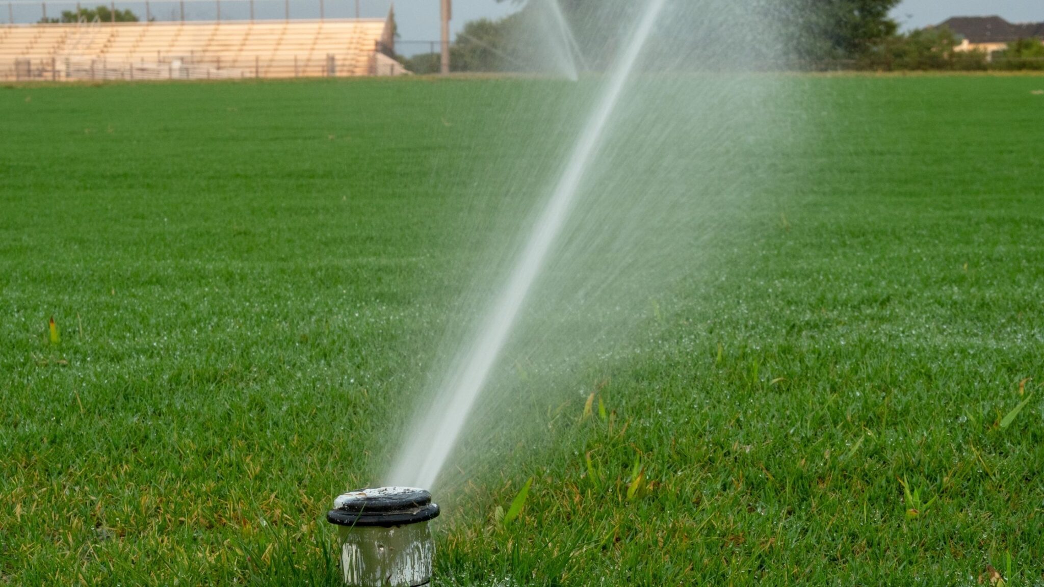 Types Of Sprinklers