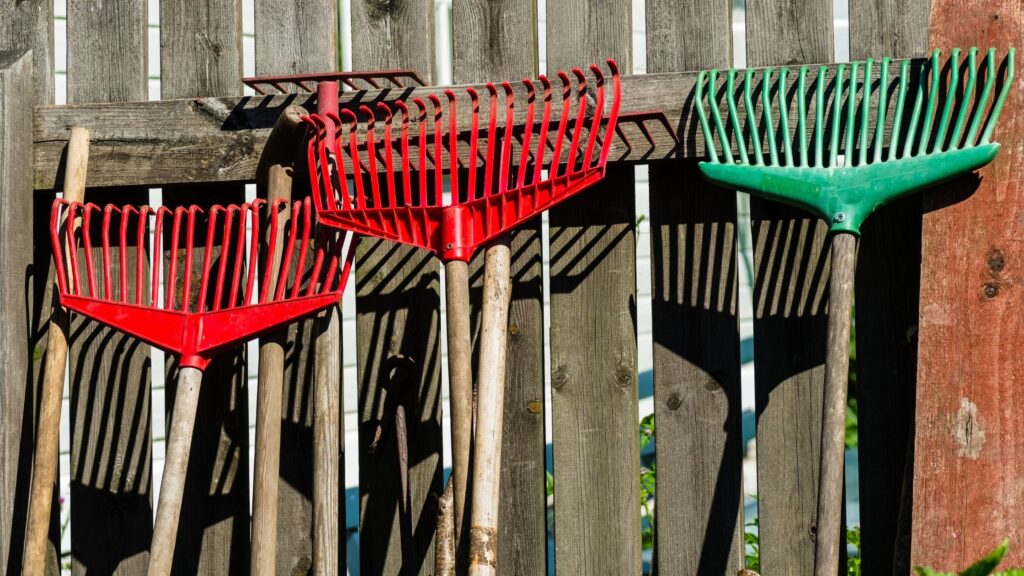 Types of Rakes